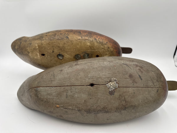 Mason challenge grade mallard pair – Unlimited Ducks