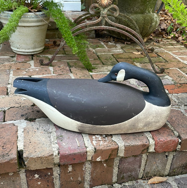 Sleeping Canada goose – Unlimited Ducks